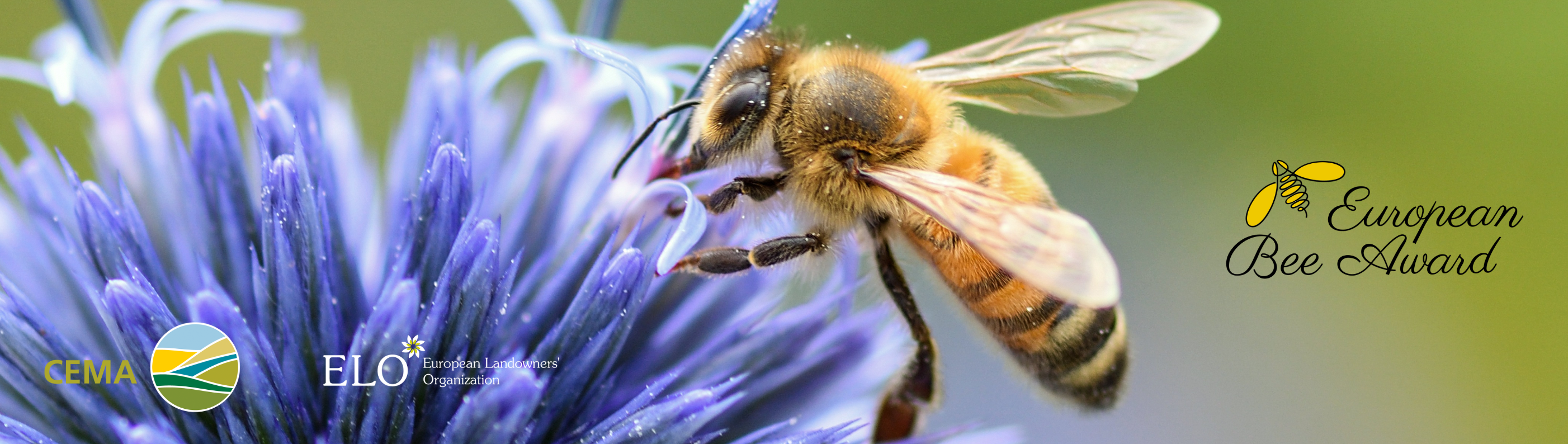 CEMA - European Agricultural Machinery - European Bee Award 2024 opens ...